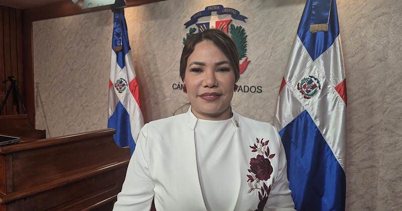 Diputada Carmen de la Rosa solicita energía eléctrica 24 horas en el ...